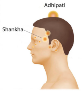 Marma Therapy – Maharishi College of Perfect Health International